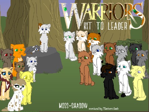 Warriors Kit to Leader