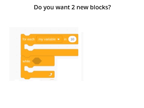the while block?
