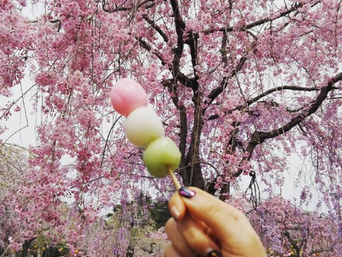 Happy Dango day (April 1st)