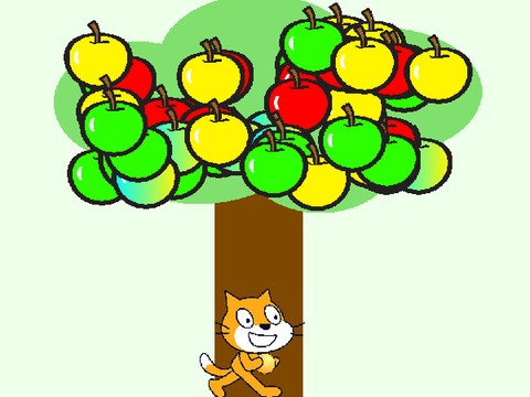 Poco Poco Cat!