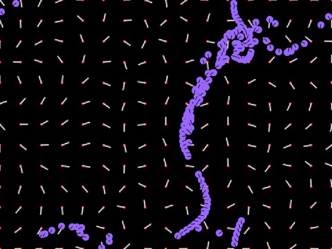 Acceleration Vector Fields With Perlin Noise