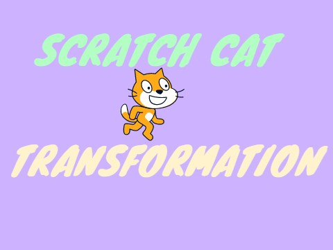 Scratch Cat Transformation