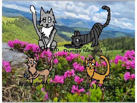 [Remastered] computational string art remix