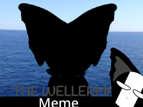 Wellerman meme :D