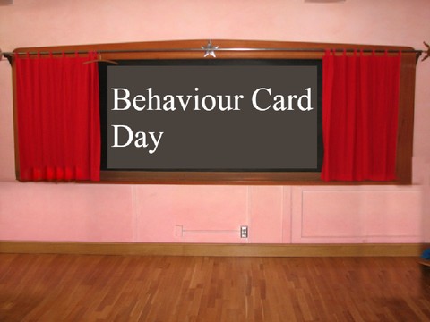 Behaviour Card Day 2