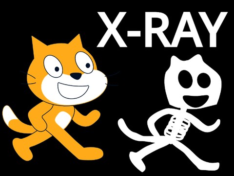X-ray | Scratch | v1.0