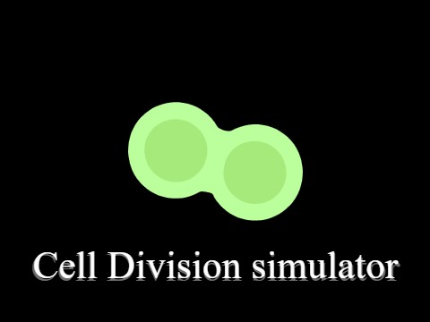 Cell division simulator