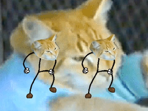 2 cats doing distraction dance!!