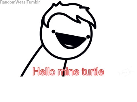 Hello mine turtle!