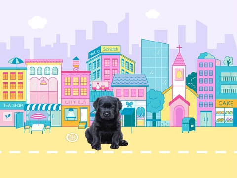 Colorful Puppy City
