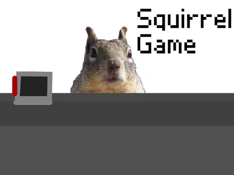 Squirrel Game