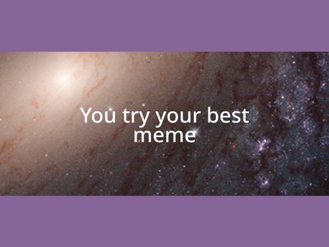 You try your best meme