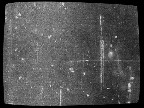 Sad Mouse.avi Footage