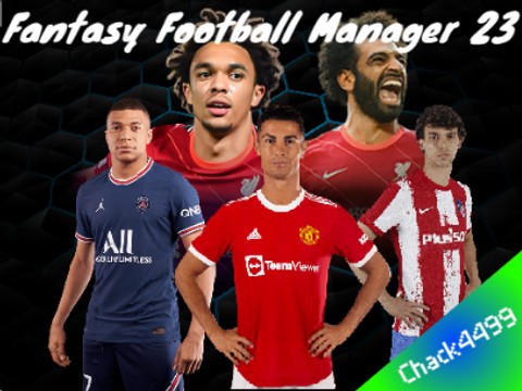 Fantasy football manager 23__A FIFA Ultimate Team style game