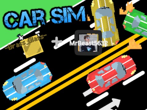 Car Sim 2D