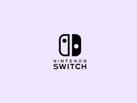 Nintendo Switch Startup