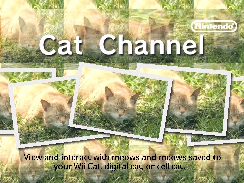 (Wii) Cat Channel Intro