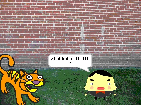 roundman and the cat:)