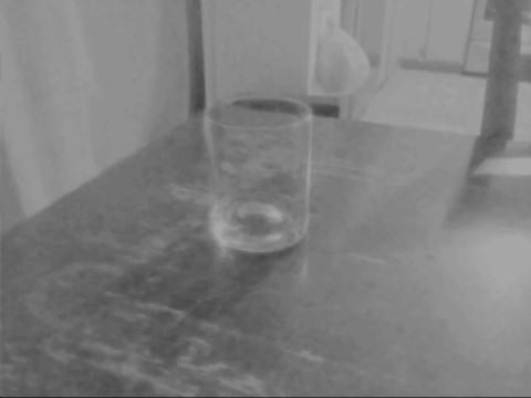 Simple Grayscale Camera