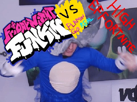 FNF - Vs Flamingo (REAL) Friday night funkin'