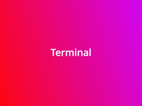 Terminal