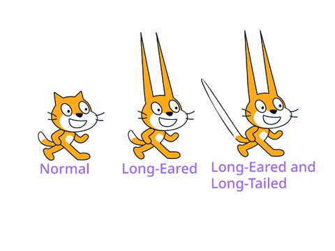 The 3 Types of Scratch Cat