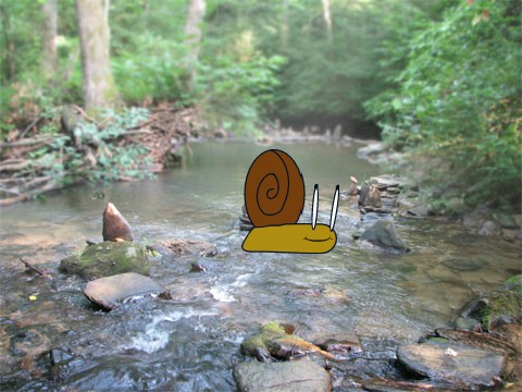 The Snail Number remix