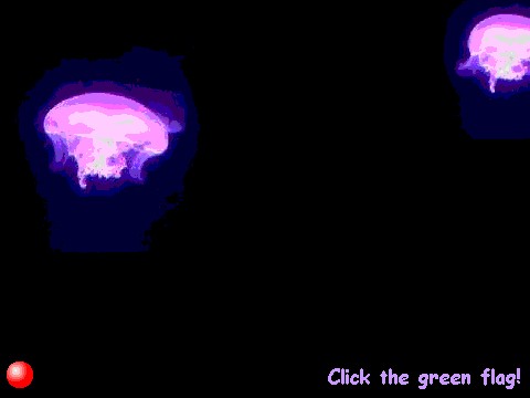 jelly game