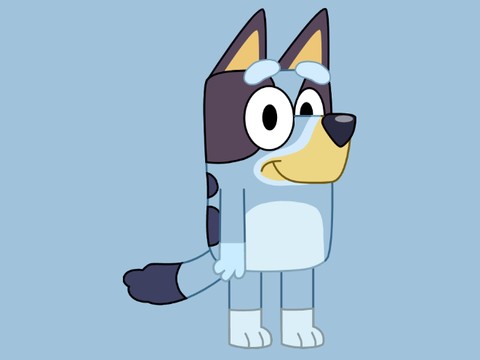 Bluey band Eighths 1