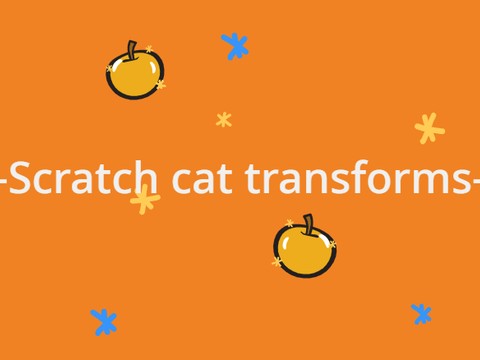 Scratch cat transforms(part1)
