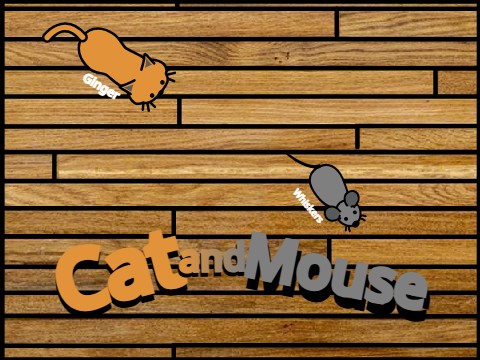 Cat and Mouse