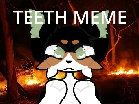 teeth meme