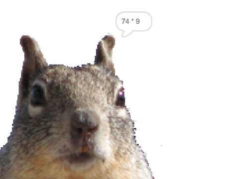 Squirrel questions your math