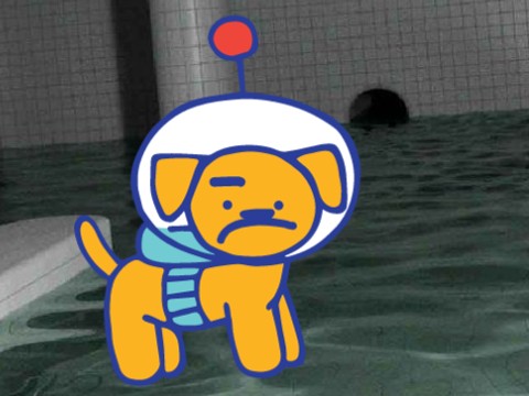 Warpy Dog warps into liminal spaces