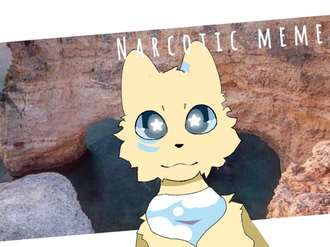 Narcotic meme - yahoo!