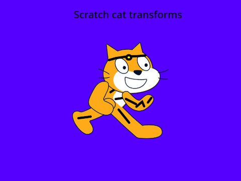 Scratch cat transforms