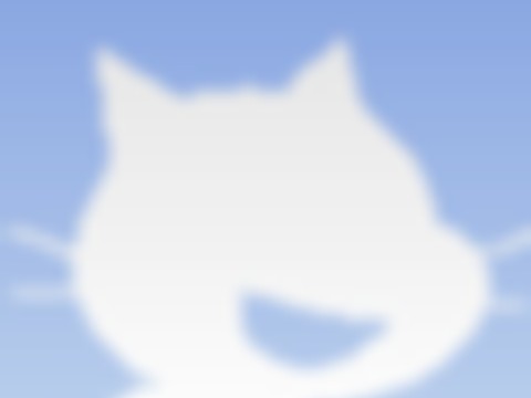 Short Story: Cat at the seaside