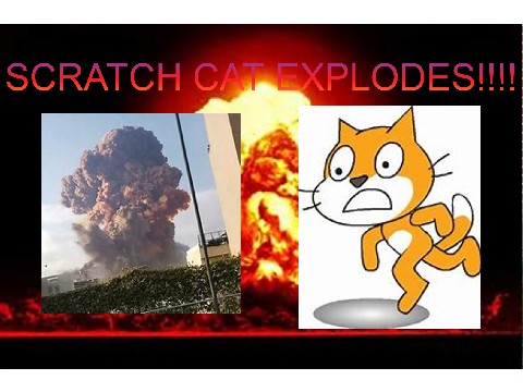 SCRATCH CAT EXPLODES!!!!