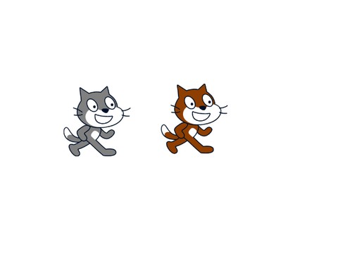 grey n' brown scratch cat