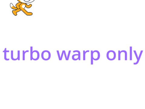 put this in turbo warp