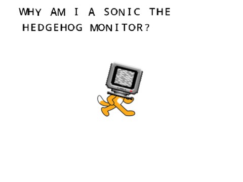 Scratch Cat Turns into a Sonic Monitor