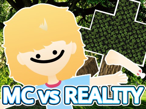 MINECRAFT vs REALITY