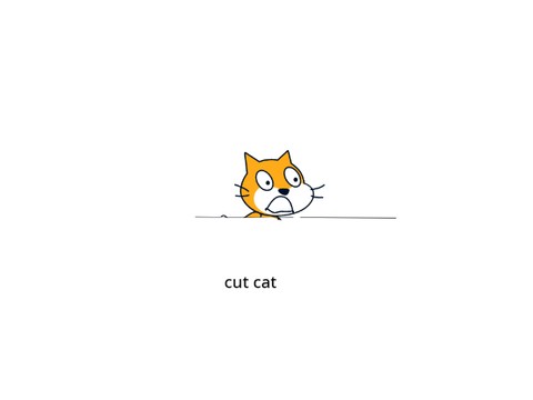 scratch cat