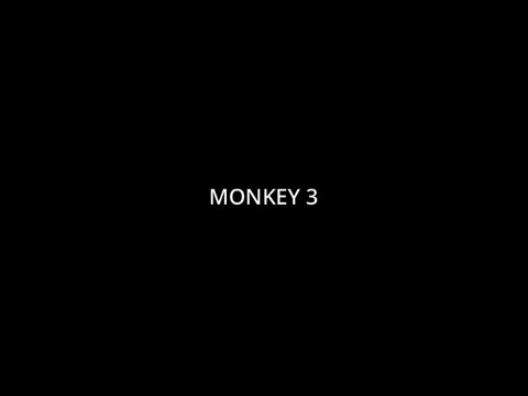 MONKEY 3