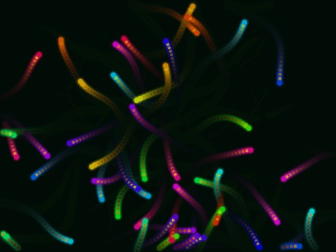 Bouncing Sprites with a Trail