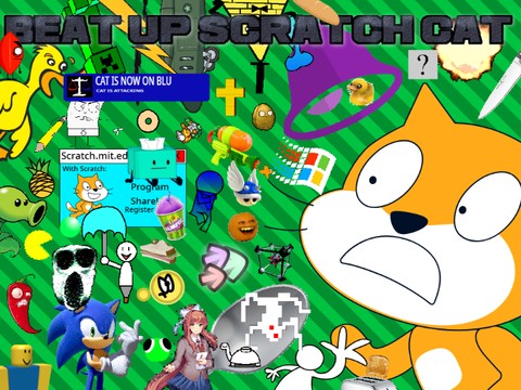 Beat Up Scratch Cat