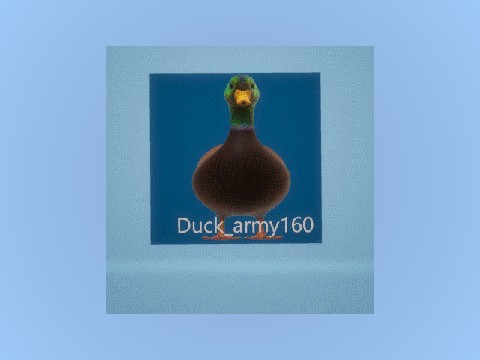@Duck_army160 pfp