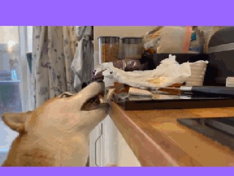 The Cheese Tax Song (Loop)