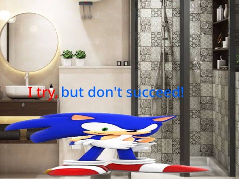 Sonic Uses The Bathroom