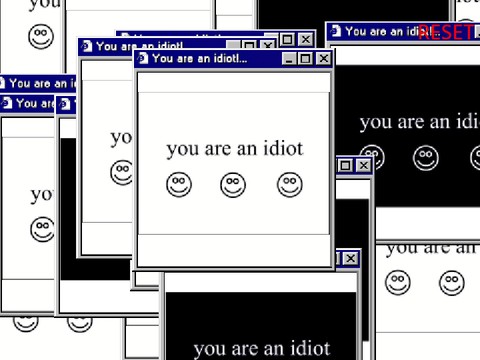 You are an idiot virus 2.0